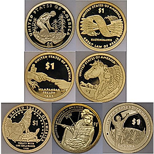 2009 S Sacagawea Native American 2009-2015 Proof