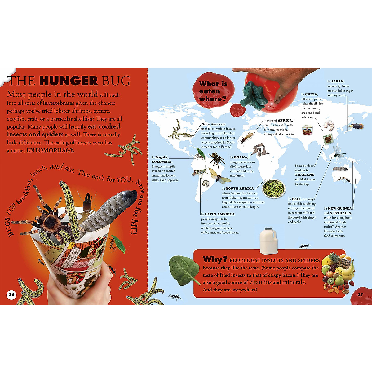 Everything You Need to Know About Bugs