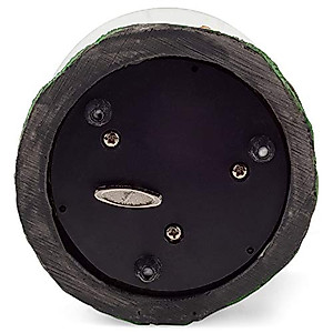 Elanze Designs Lions Zebras Elephants and Giraffes 100MM Music Water Globe Plays Tune Born Free