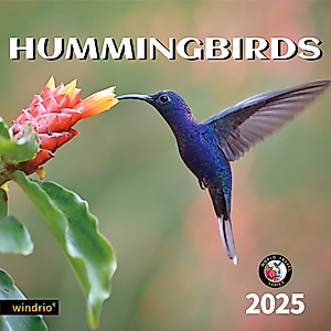 2024 Wall Calendar,Calendar 2024, November 2023 - December 2024, Wall Calendar Hummingbird, 12" x 24" Opened,Full Page Months Thick & Sturdy Paper for Gift Perfect Calendar Organizing & Planning