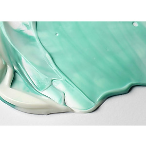 Liquitex Professional Gloss Gel Medium, 473ml (16-oz)