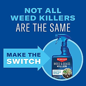 BioAdvanced Weed & Grass Killer, Ready-to-Use, 24 oz