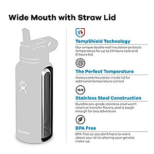 Hydro Flask Water Bottle - Wide Mouth Straw Lid 2.0 - 40 oz, Spearmint