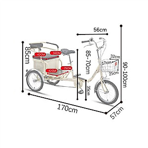 LUYIYI Pedal Rickshaw, Old Pedal Small Bicycle, Adult Cargo Scooter (Color : Gold)