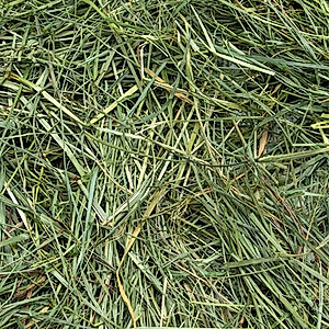 Rabbit Hole Hay Ultra Premium, Hand Packed Mountain Grass for Your Small Pet Rabbit, Chinchilla, or Guinea Pig (40lb)