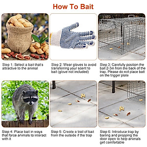 ECOOOL Large Live Animal Trap Cage 30""x11""x12"" Collapsible Heavy Duty Humane Live Animal Trap for Raccoons,Squirrel,Cats,Gopher,Beavers,Chipmunk,Groundhogs,Shunks,Easy to Catch and Release, Silver