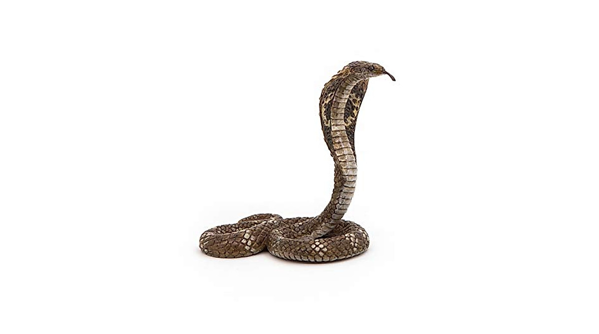Papo King Cobra Toy Figure | Realistic Animal Collectible