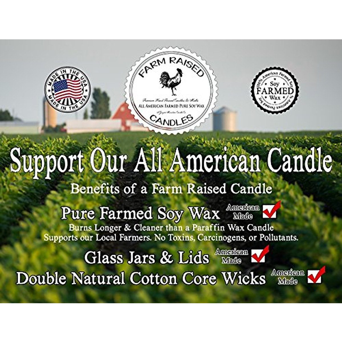 Fresh Spring Scented Wax Melts - 30 Cubes Variety - 100% USA Made - All Natural Plant Wax - Warmer Cubes Lavender, Lemon, Spring, Raspberry Vanilla, Cucumber Melon