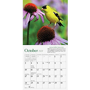 Audubon Songbirds Mini Wall Calendar 2021