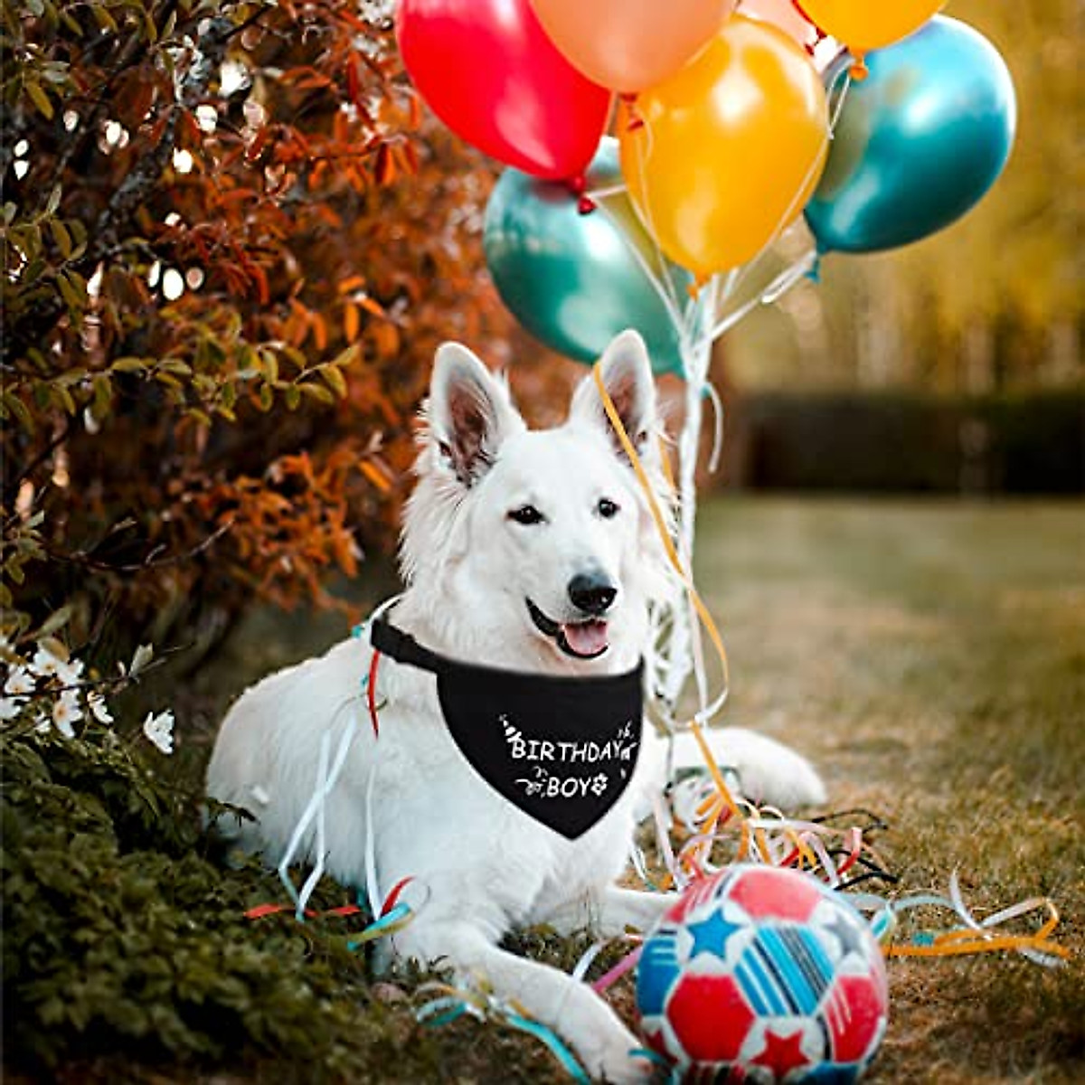 Dog Birthday Party Supplies Birthday Boy Dog Bandana Black Its My Birthday Dog Bandana for Small Medium Large Dogs Pets Outfits