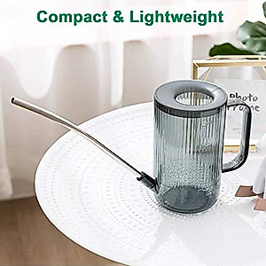 Indoor Plant Watering Can(34oz), Watering Can for Indoor Plants, Flowers, Succulents, with Plant Mister Spray Bottle(10oz)