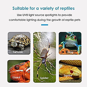 Reptile Heat Lamp, Basking Spot Lamp, UVA UVB Reptile Light Fixture with 360° Rotatable Clips and Dimmable Switch for Aquarium Turtle Lizard Snake Chameleons Amphibians (1 Fixture+3 Bulbs, 25/50/75W)
