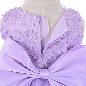 Purple Baby Girl Formal Dress Baptism Bowknot Embroidery Lace Flower Tutu Girl Dress Tulle Princess Wedding Party Baby Toddler Dress Newborn 3 Months