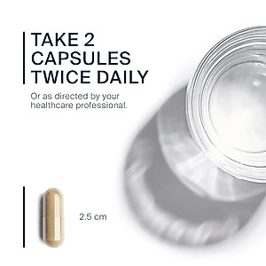 Vital Nutrients - Herbal Biotic - Herbal and Nutritional Support for The Immune System - Upper Respiratory and Sinus Health - 120 Vegetarian Capsules