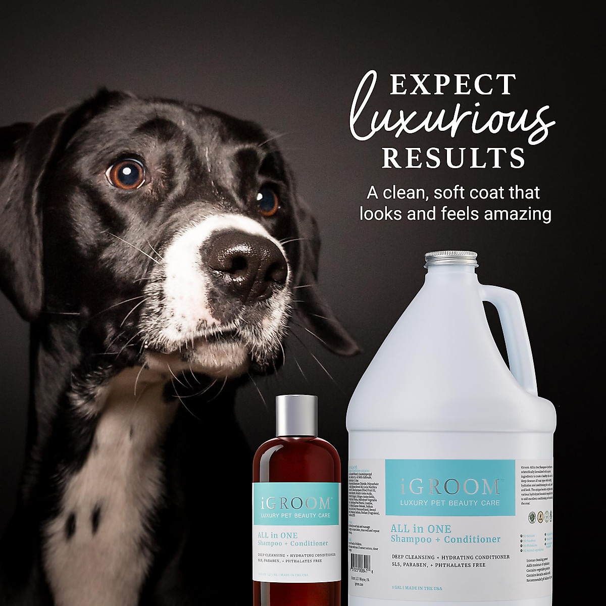 iGroom All-in-One Dog Shampoo + Conditioner, Luxury Pet Beauty Care, Deep Clean All Coat Types, Hydrate and Condition Coat, Made in The USA, 16 oz