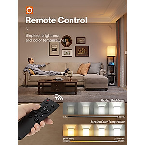 addlon Shelf Floor lamp with Remote, with 2 USB Charging Ports and 1 Power Outlet, Floor lamp with Shelves for Living Room, Bedroom and Office - Black