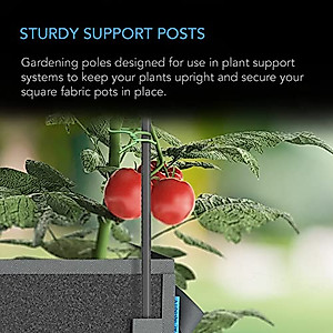 AC Infinity Garden Plant Stakes 60", Sturdy Metal Support Sticks with Protective Plastic Coating, 25-Pack for Tomatoes, Trees, and Vines in Gardening Hydroponics