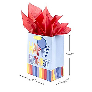 Hallmark 9" Medium Gift Bag with Tissue Paper (Happy Birthday, Rainbow Stripes on Light Blue)
