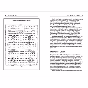 Carrots Love Tomatoes: Secrets of Companion Planting for Successful Gardening