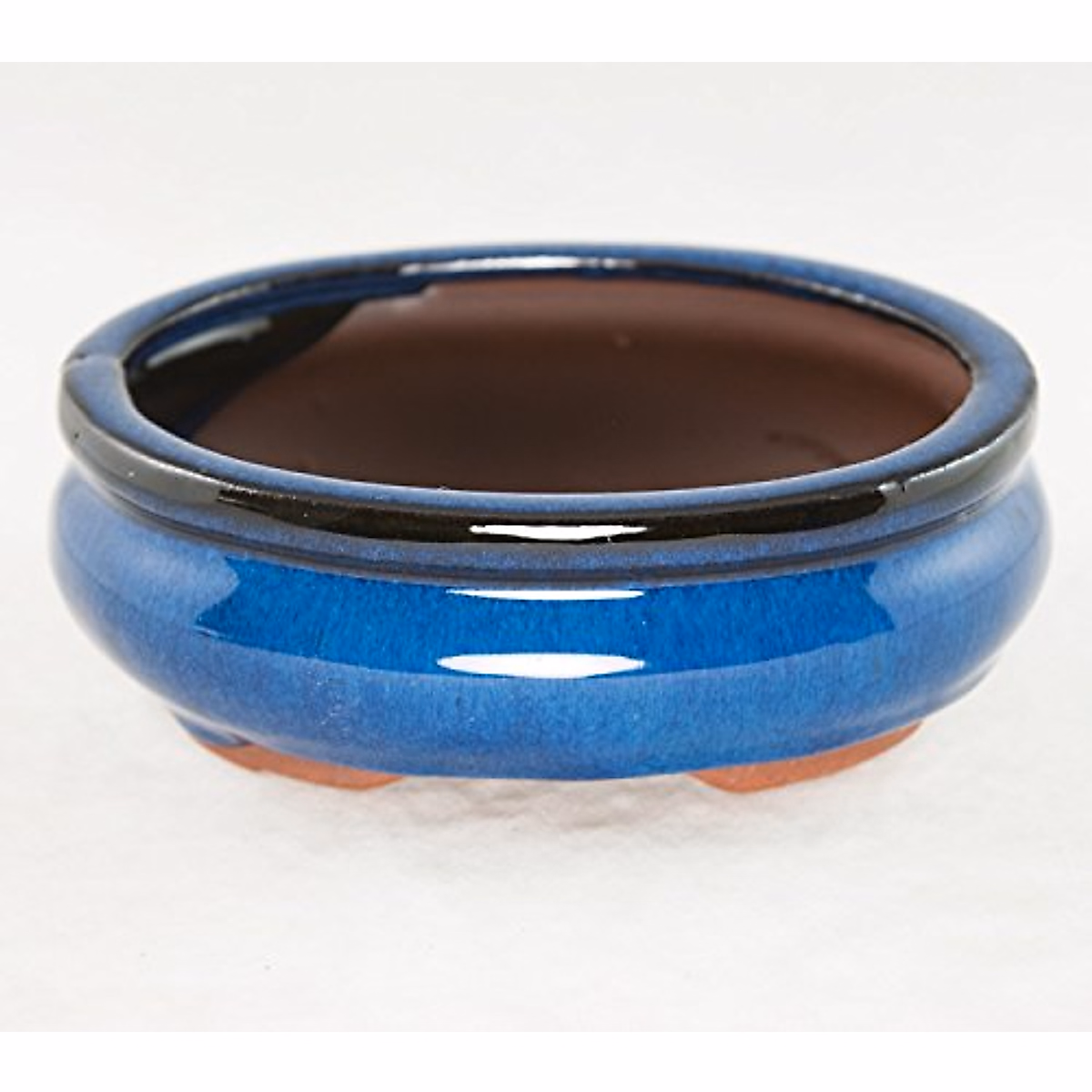 Oval Mame Shohin Bonsai / Cactus & Succulent Pot + Mesh 6"x 5"x 2" - Dark Blue Stain