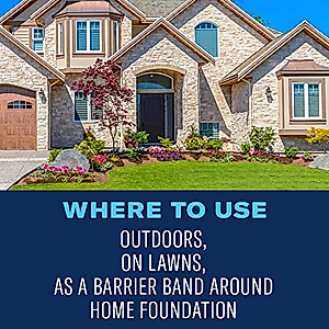 BioAdvanced Season Long Grub Control, Ready-to-Spread Granules, 10 LB