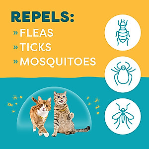 Only Natural Pet EasyDefense Flea & Tick Cat Collar - Feline Flea Collars Flea and Tick Control - Pet Flea Care That Protects up to 4 Months - for Cats (2 Pack)