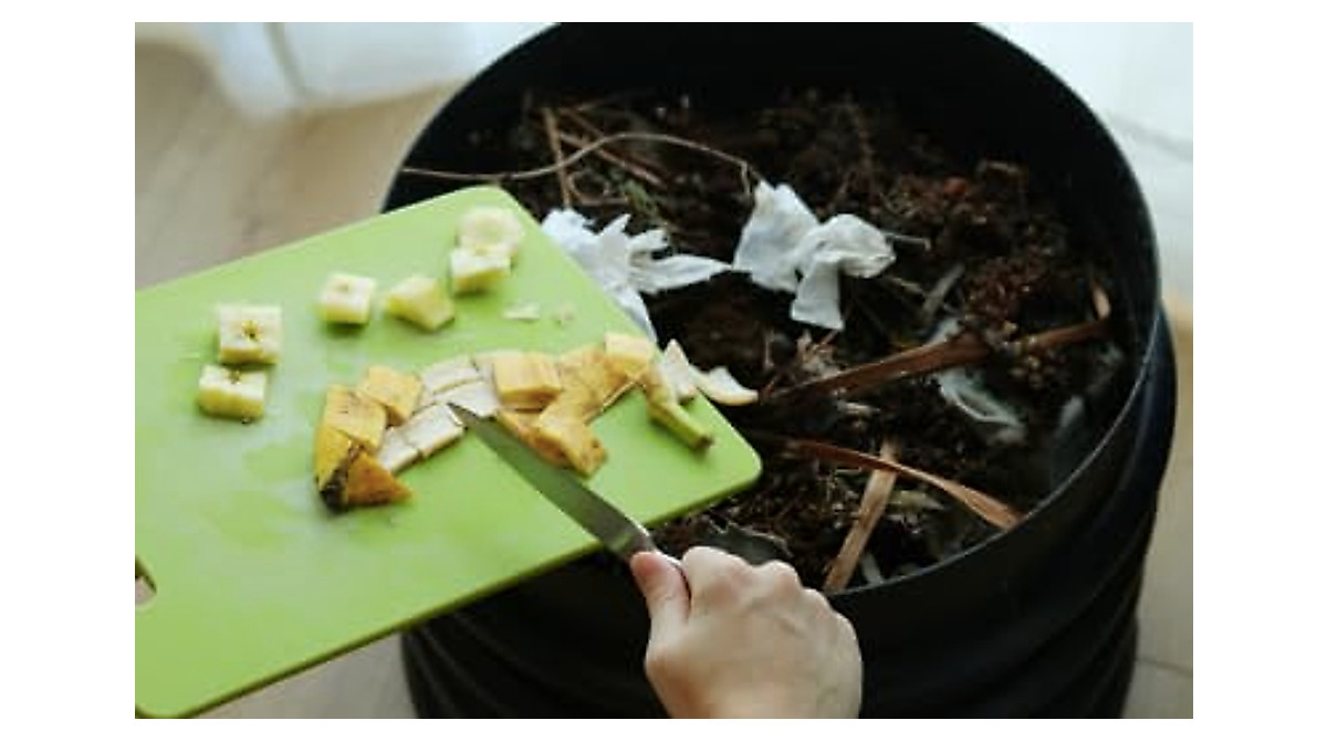 Live Red Wiggler Worms for Your Garden - HomeGrownWorms