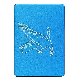 Garsentx Hsthe Sea SSD Automatic Recognition Intelligent Error Correction Blue Metal 2.5‑inch Hard Drive for Storing Data for OS X/Linux/Windows XP/Win/7/8/10 (8GB)