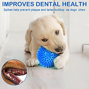 Hanaive 36 Pcs Squeaky Balls for Dogs Squeaky Dog Toys Bulk 2.5 Inch Spiky Dog Chew Balls for Small Dogs Interactive Fetch Toys for Puppy Cleans Teeth for Healthier Gums