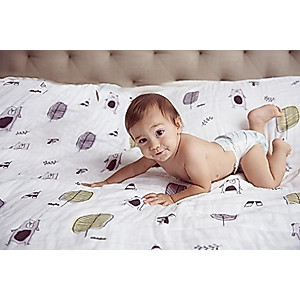 Clover & Sage Organic Muslin Baby Toddler Blanket - 100% Hypoallergenic Cotton Bed Blankets - Cuddle Bears