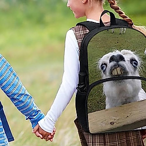 AmzPrint 17 Inch Funny Llama Backpack For Elementary Middle School Alpaca Backpack For Kids Child Back To School As Gift