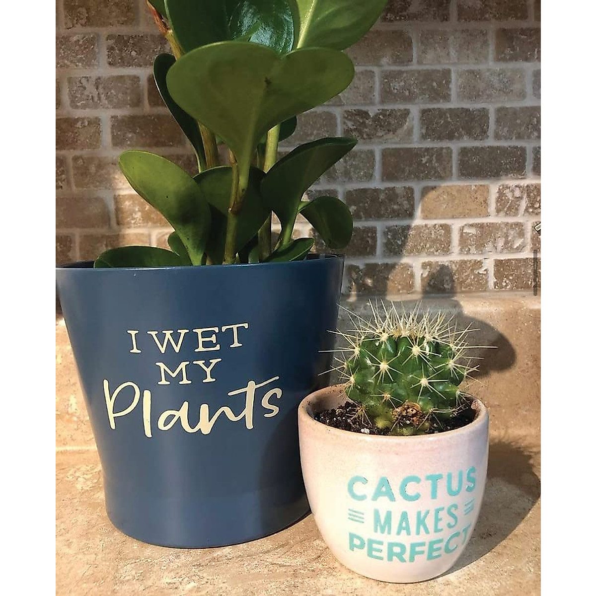 Oracal 651 Matte White Vinyl Roll for Craft Cutters and Vinyl Sign Cutters (12" x 25')