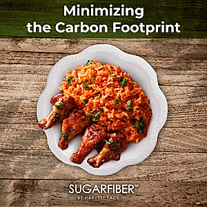 SUGARFIBER 10-inch Compostable Disposable Paper Plates, White Floral Acanthus Collection [50 COUNT]