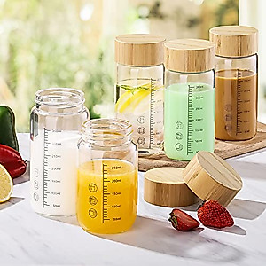 ZDZDZ Small Glass Water Bottle, Wide Mouth Glass Bottle with Lid, 300ML/10oz Reusable Drinking Bottle for Milk Juice Smoothies