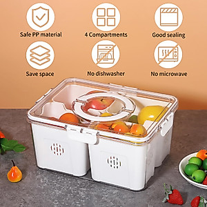 Lnrueg Airtight Fresh Produce Containers for Fridge - 4 Compartments with Handle, Berry Containers for Fridge, BPA-Free Fresh Produce Saver & Refrigerator Organizer Bins