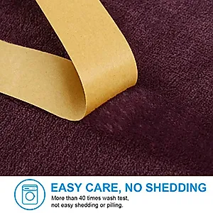 LEISURE TOWN Fleece Blanket Queen King Twin Throw Size Soft Summer Cooling Breathable Luxury Plush Travel Camping Blankets Lightweight for Sofa Couch Bed (Lavender, Queen (90" x 90"))