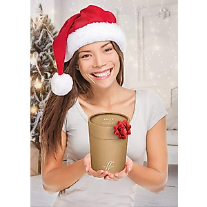 Fancyfams - Dog Mom - 12 oz Stainless Steel Wine Tumbler with Lid and Straw (Dog Mom -Turquoise)