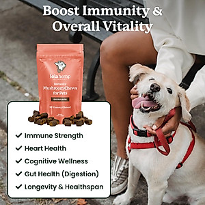 Lolahemp Mushroom Supplement for Dogs - Tasty Chews with Organic Mushroom Complex for Immune System & Cognitive Health - Turkey Tail, Reishi, Shiitake, Maitake & Lion's Mane