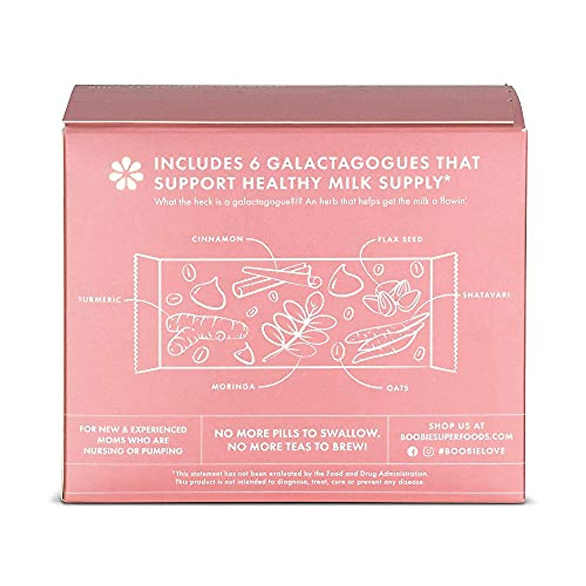 Boobie Bar Superfood Lactation 1.7 Ounce Bars Package May Vary, Oatmeal Chocolate Chip, 6 Count