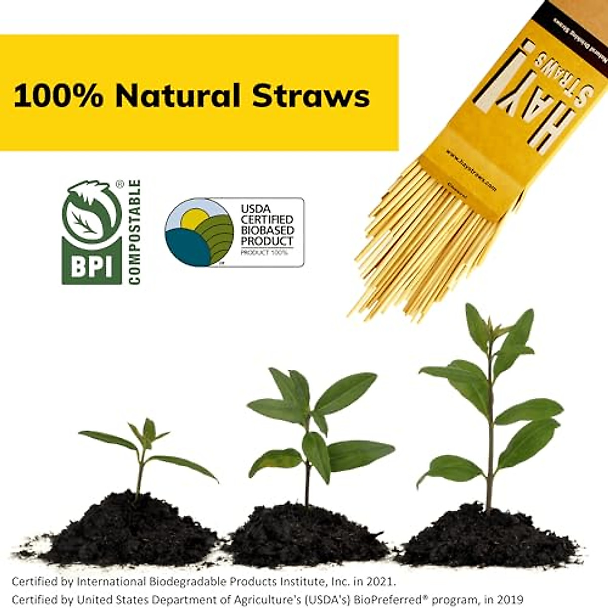 HAY! Straws | 3000ct. Bulk Straws | 5" | 100% Compostable, 100% Plant-Based, Never Soggy, Gluten-Free | Sustainable Alternative to Plastic & Bioplastic Straws