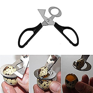 Adecco LLC Pigeon Quail Egg Cutter Scissors Stainless Steel Blades Bird Cutter 2 Pack (Quail Egg Scissor)