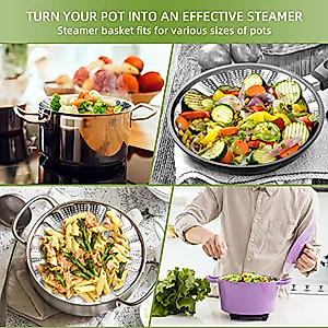 Steamer Basket, Premium Stainless Steel Vegetable Steamer Basket for Veggies & Seafood Cooking, Expandable Food Steaming Basket Fits for Various Size Pots & Pans (6.4" to 10") LAIHIFA