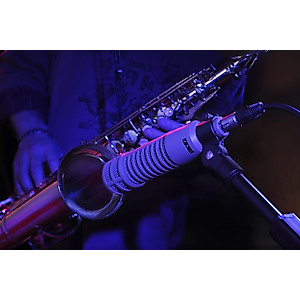 Electro-Voice RE20 Broadcast Announcer Microphone with Variable-D