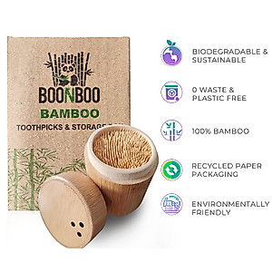 BOONBOO Bamboo Toothpicks and Holder, Double-Sided, 450 Counts