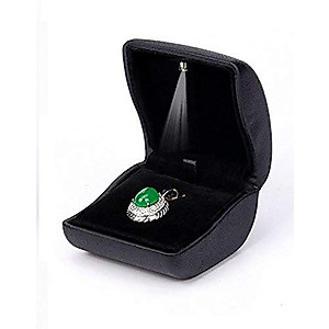 LILY TREACY PU Leather Jewelry, Earrings,Coin,Pendant, Necklace Box Case with Light up for Wedding, Engagement, Gift