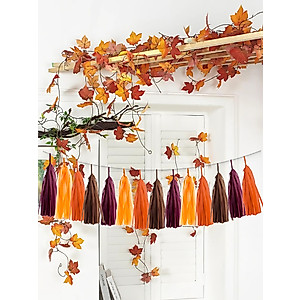 20PCS Maroon Burgundy Burnt Orange Brown Fall Party Tissue Tassel Garland Wall Hanging Banner Streamers Thanksgiving Harvest Bridal Baby Shower Wedding Birthday Nursery Home Office Décor