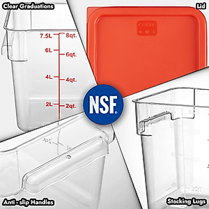 CURTA 4 Pack Food Storage Container with Red Lid - NSF Listed Commercial Grade in 8.0 Qt - Square, Clear, Polycarbonate