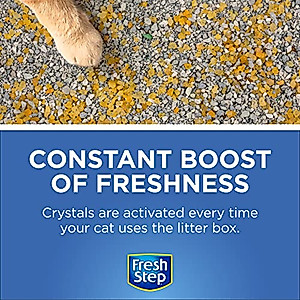 Fresh Step Cat Litter Crystals In summer Breeze Scent | Cat Litter Box Deodorizer | Combats Cat Odors and Neutralizes Smells to Keep Your Home Clean, 15 Ounces, Packaging may vary