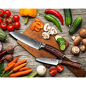 Wakoli EDIB 4-pcs Damascus Knife Set I Professional Kitchen Knives made of Japanese Damascus Steel VG10 Chef Knife Set with Pakka Wood Handle in Gift Box