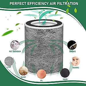 Carmerny HP202 True HEPA Filter Replacement Compatible with Shark HP201 HP202 HP301 HP302 UA205 AP1000 HC501 HC502 Air Cleaner Purifier MAX, Compare Part # HE2FKBAS, HE2FKBASMB, 2-Pack